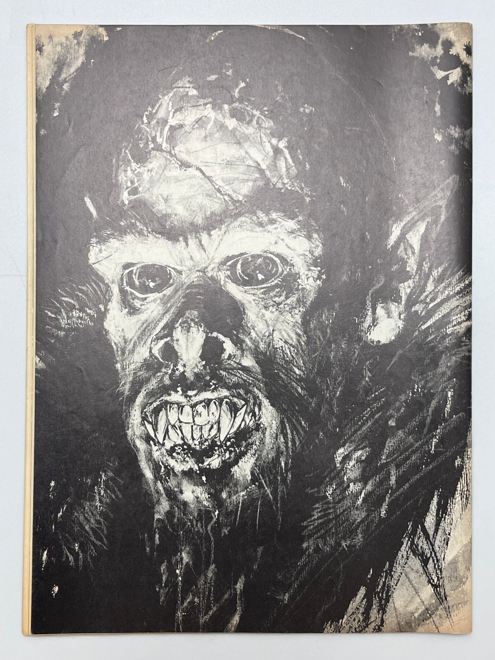 Bizarre Adventures #33 (1982) 1st app. of varnae – Rust Belt Comics ...